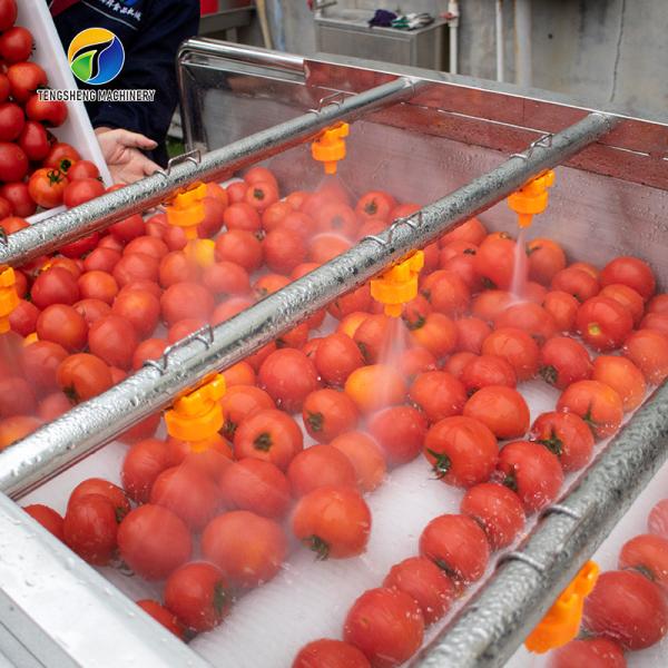 Quality Multifunction Fruit And Vegetable Processing Line Parallel Brush Machine for sale