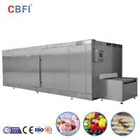 China Iqf Quick Tunnel Freezer Frozen Fruit Vegetable Food Maker Equipment factory