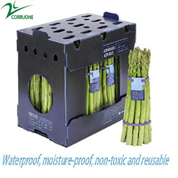 Quality PP/PE plastic box for Fruits and vegetables for sale