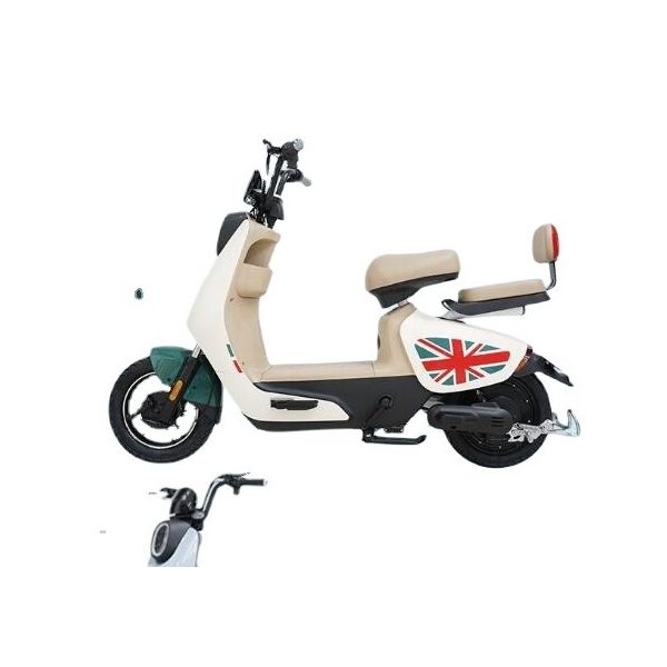 Quality 500w Racing Bike with Lithium Battery and 14*2.5 Tubeless Wheels Charging Time 3 hours for sale