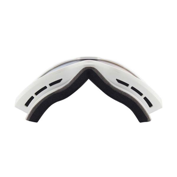 Quality 20-30 Working Days Delivery Time for Customized Cylindrical Lens Jet Ski Goggles for sale