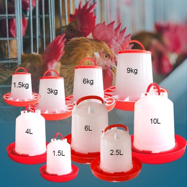 Quality Broiler Outdoor 3kg Plastic Poultry Feed Trays Chicken Drinker for sale