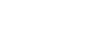 China Wuhan Time Wave Network Technology Co., Ltd. logo