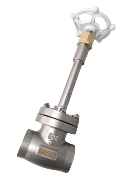Quality Cryogenic CF8 SS304 SS316 WCB Socket Weld Globe Valve for sale