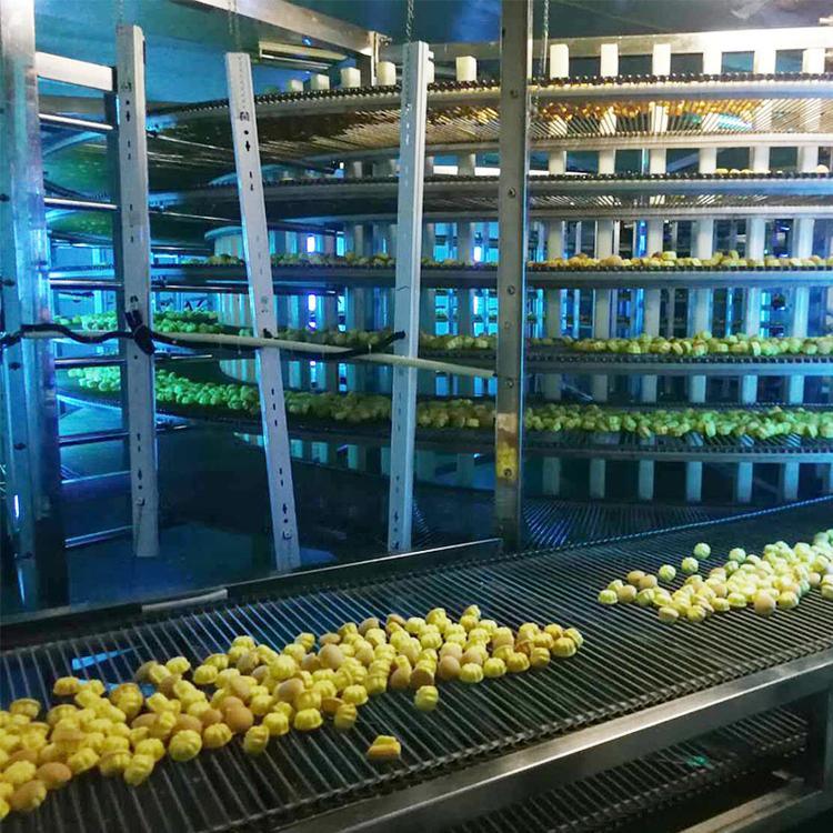 Bread Spiral Cooling Screw Conveyor Sale