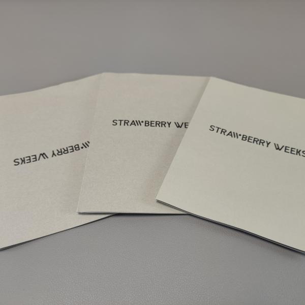 Quality Customizable Folded Paper Product Manuals Full Color Printing for sale