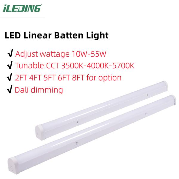 Quality 2FT-8FT Linkable LED Linear Batten Light Linear for Office Shop 10W 18W 35W for sale