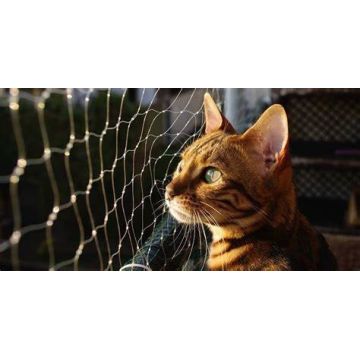 Quality Customized Mesh Size 10m X 3m White Balcony Protection Knotted Netting Cat for sale