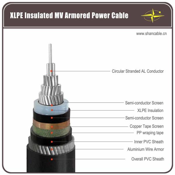 Quality Distribution Lines Armoured Electrical Cable , Aluminium Armored Cable for sale