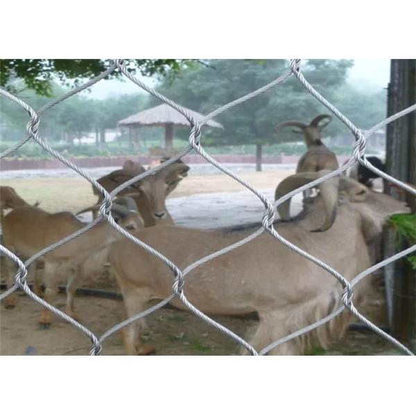 Quality Animal Protection Stainless Steel Aviary Mesh / Zoo Wire Mesh Fencing Anti - for sale