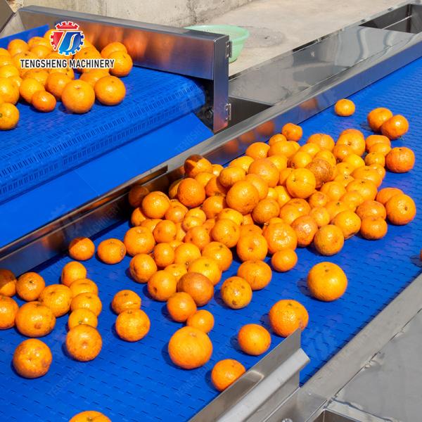 Quality vegetable drying equipment Fruit and vegetable selection washing and drying for sale
