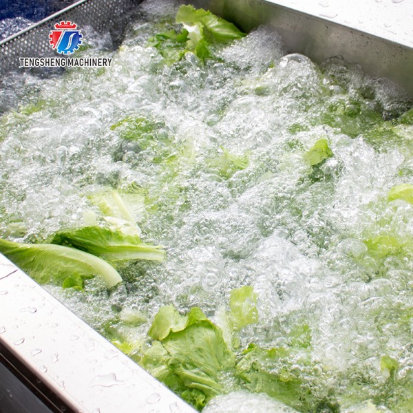 Quality 3KW Bubble Circulating Surfing Fruit And Vegetable Washing Machine Ozone for sale