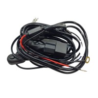 Quality Drip Switch Automotive Wiring Harness New Energy Vehicle General Fog Light for sale