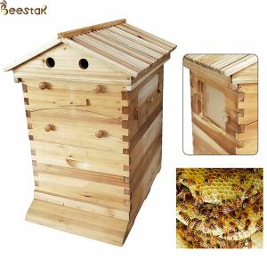 Quality Automatic Self Flowing Flow Hive with Chinese Fir Wood for Beekeeping - for sale