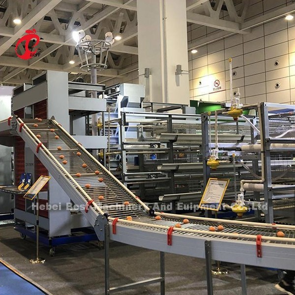 Quality Battery Type Layer Poultry Farm Equipment With Automatic Feeding Machine 9 Tiers Mia for sale