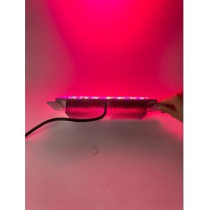 Quality LED Grow Light Module 30W 50W RGB Colorful Outdoor Garden Spot Lights for sale