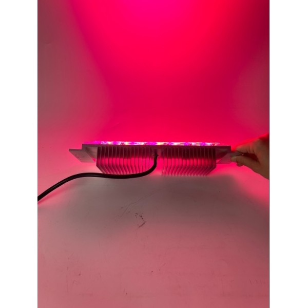 Quality LED Grow Light Module 30W 50W RGB Colorful Outdoor Garden Spot Lights for sale