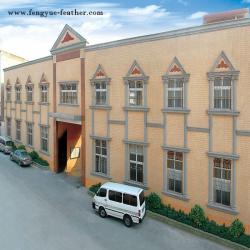 China Factory - Guangdong Hongfa Import & Export Co., Ltd.