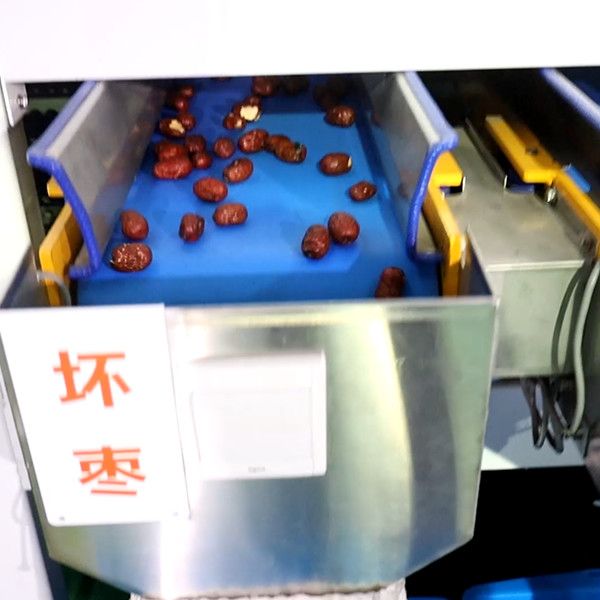 Quality Stainless Steel Dates Sorting And Grading Machine 380V 10 Lanes for sale