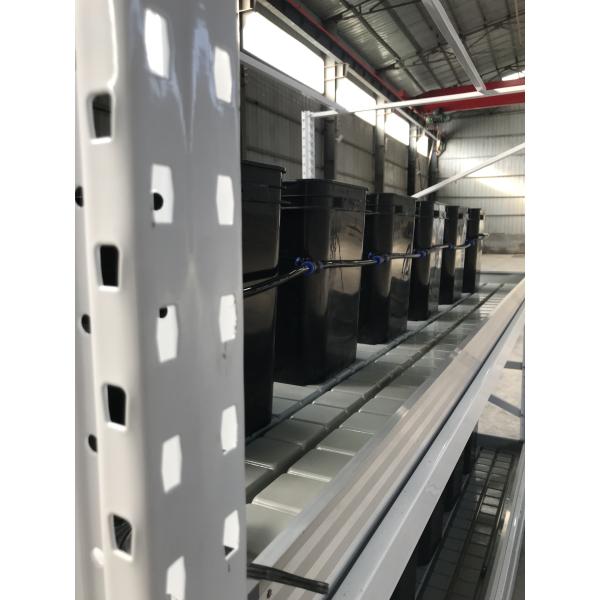 Quality ABS Multi Level Marijuana Hydroponic Growing Racks 90tg/M2 Hydroponic Shelves for sale