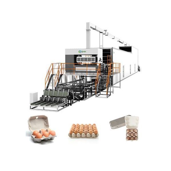 Quality Customized Paper Pulp Tray Making Machine Molded Pulp Packaging Production Line for sale