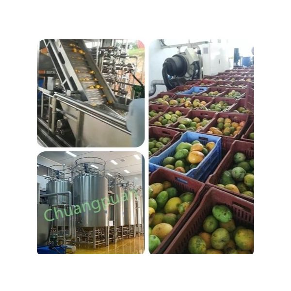 Quality 500-50000KG/H Mango Juice Processing Plant 380V 410V 20KW for sale