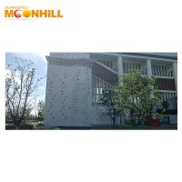 Quality Waterproof Speed Climbing Wall Brush Fittings For Amusement Park School for sale