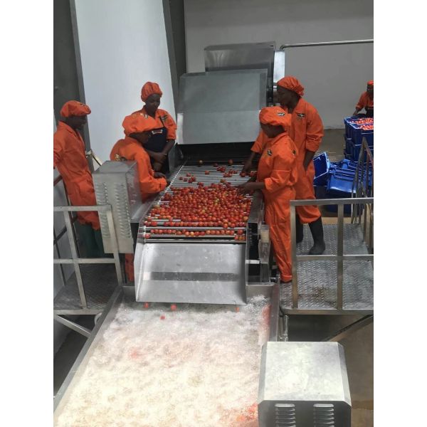 Quality 2TPH Tomato Paste Processing Line for sale