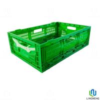 Quality Fruit / Vegetable 36L Folding Crate Box Plastic Collapsible Storage Crate With for sale
