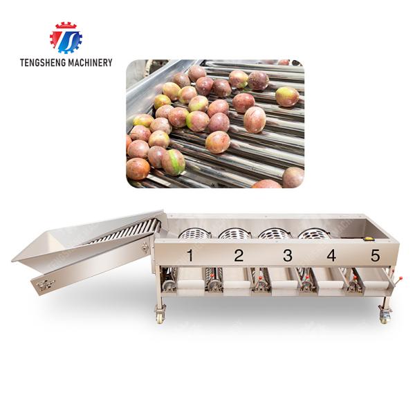 Quality Fruit Orange Vegetable Saiko persimmon lemon tangerine passion fruit avocado for sale