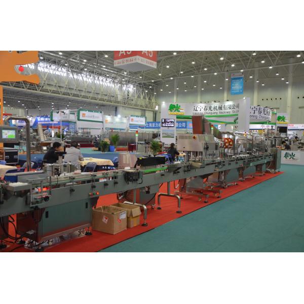 Quality Automatic Capsule Tablet Counting Machine Bottling Production Line for sale