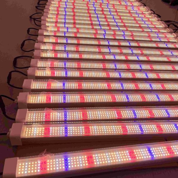 Quality Customized Full Spectrum Dimmable 120W 150W 4Ft Grow Light Under Inter Canopy for sale