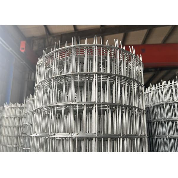 Quality 2"X2" Galvanized Welded Wire Mesh 25m Roll for sale