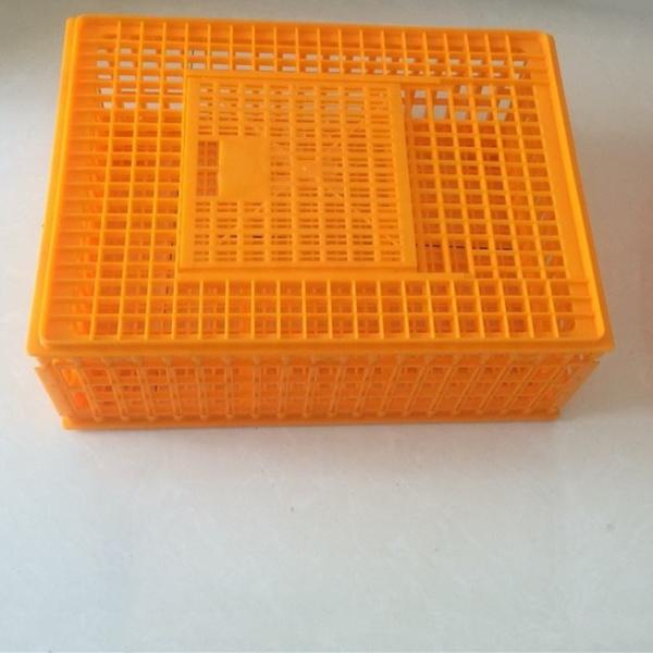 Quality Plastic baskets for poultry turnover（Red ，Orange，yellow ） for sale