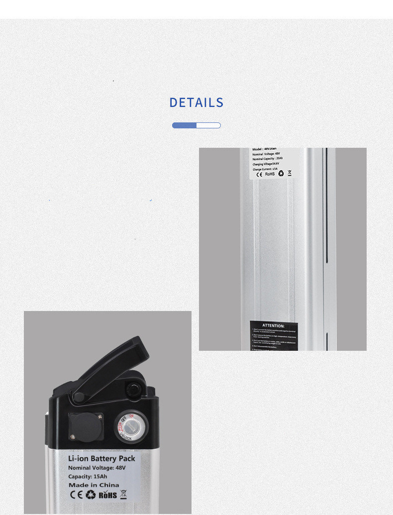 Customized Electric Bike 48volt 20ah Silver Fish E-Bike Lithium Battery for Aldi Prophete Mifa, Samsung, Zhenlong Zl0710, Phylion Xh259-10j, Xh259-13j Battery