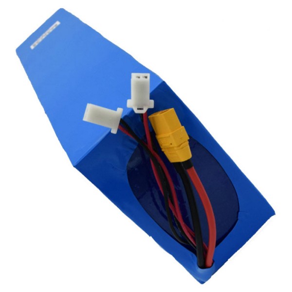 Quality 2200Wh Lithium Ion Bike Battery Pack for sale