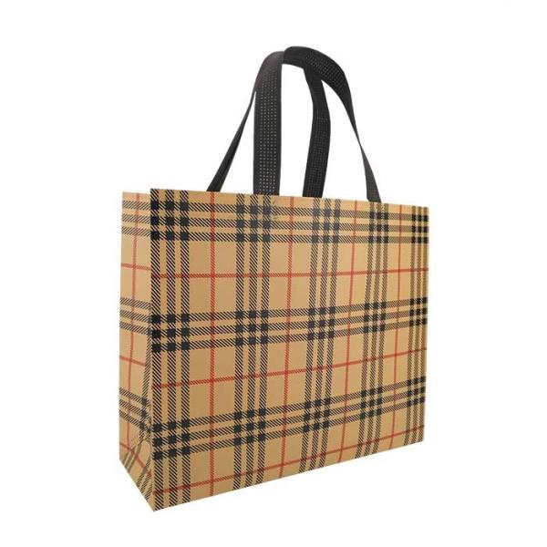 Quality Eco Friendly Non Woven Shopping Bags 60gsm Polypropylene Laminated for sale