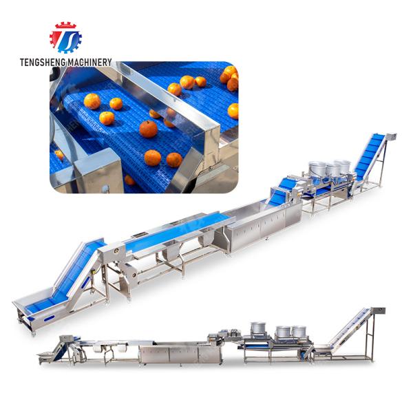 Quality vegetable drying equipment Fruit and vegetable selection washing and drying for sale