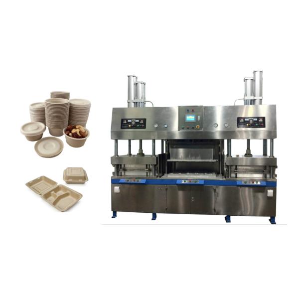 Quality Biodegradable Sugarcane Bagasse Clamshell Lunch Box Machine Virgin Pulp Wood for sale