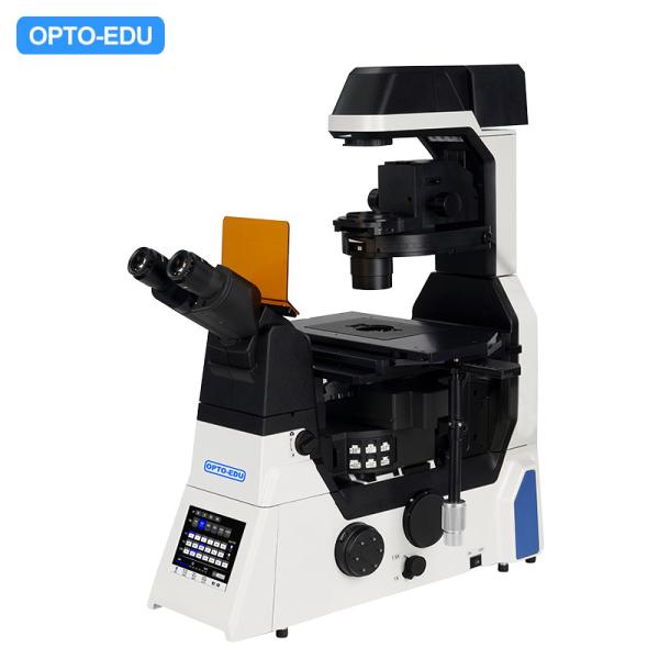 Quality OPTO EDU A16.1099 Full Auto Semi-APO Inverted Fluorescent Microscope for sale