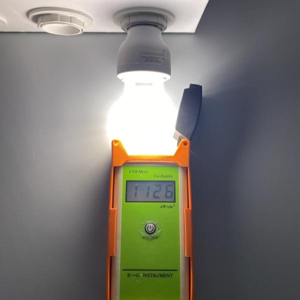 Quality 13W Tortoise UV Lamp UVA And UVB Lighting For Bearded Dragons for sale
