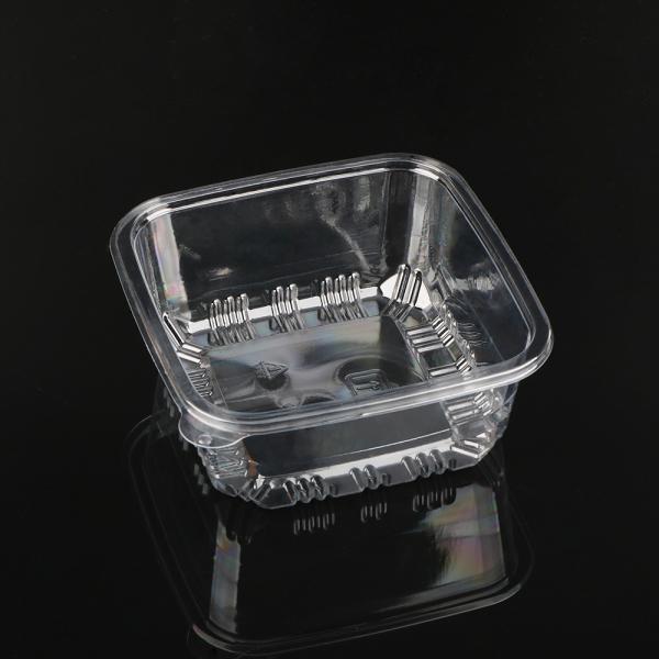 Quality Clamshell Blister Packaging Tray Customized Disposable Clear for sale