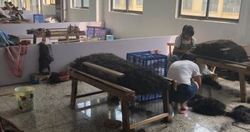 China Factory - Anhui Neobeauty Hair Products Co.,Ltd