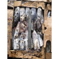 Quality Good Color Whole Round BQF Frozen Indian Squid 100 - 300g for sale