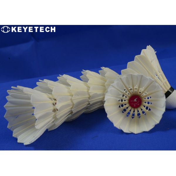 Quality Automated Aoi Vision System Machine For Products Made From Feathers for sale