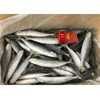 Quality Pacific Mackerel High Protein 70g Frozen Round Scad for sale