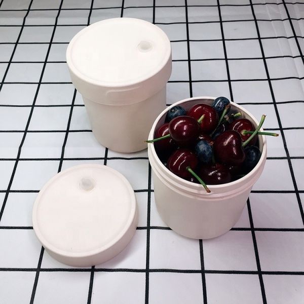 Quality Storage Bottles Function Custom Leakproof Soup Noodle Containers for Multifuncti for sale