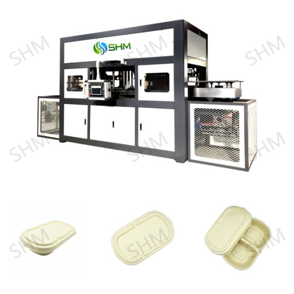 Quality Biodegradable Pulp Molding Tableware Machine Disposable Dish Line for sale