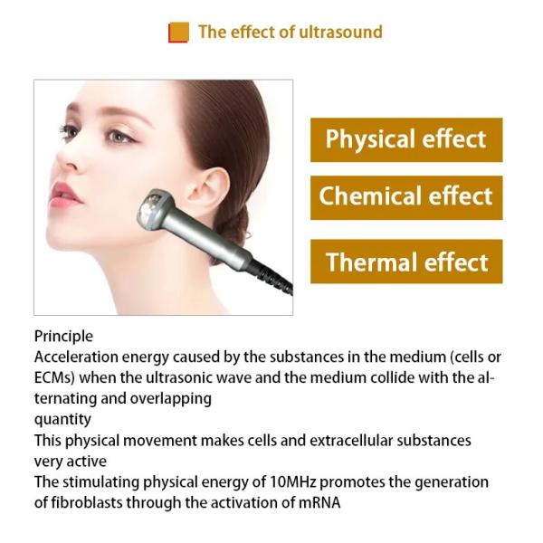 Quality Ldm Ultrasound Beauty Machine Skin Allergies And Body Beauty Equipment for sale