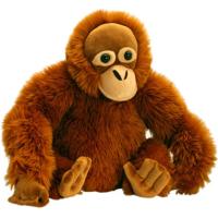 China 20cm Cute Wild Monkey Stuffed Animal Toys Eco Friendly Personalized factory